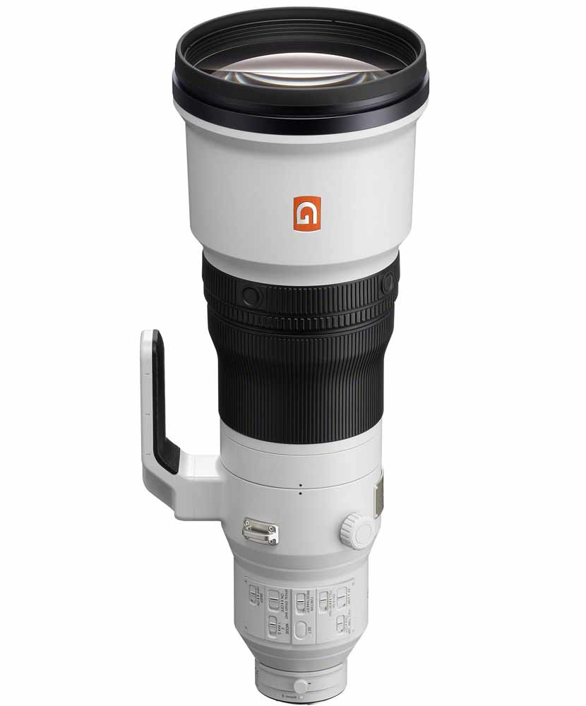 Sony FE 600mm f/4 GM OSS Super-Telephoto Prime | Rockbrook Camera